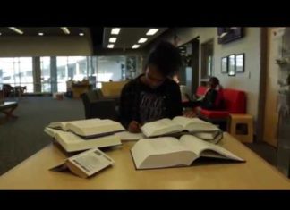 LSW Online | Your school. Your news.